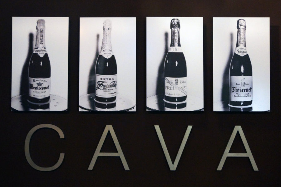 Cava 101: What is Cava? | Sparkling Winos