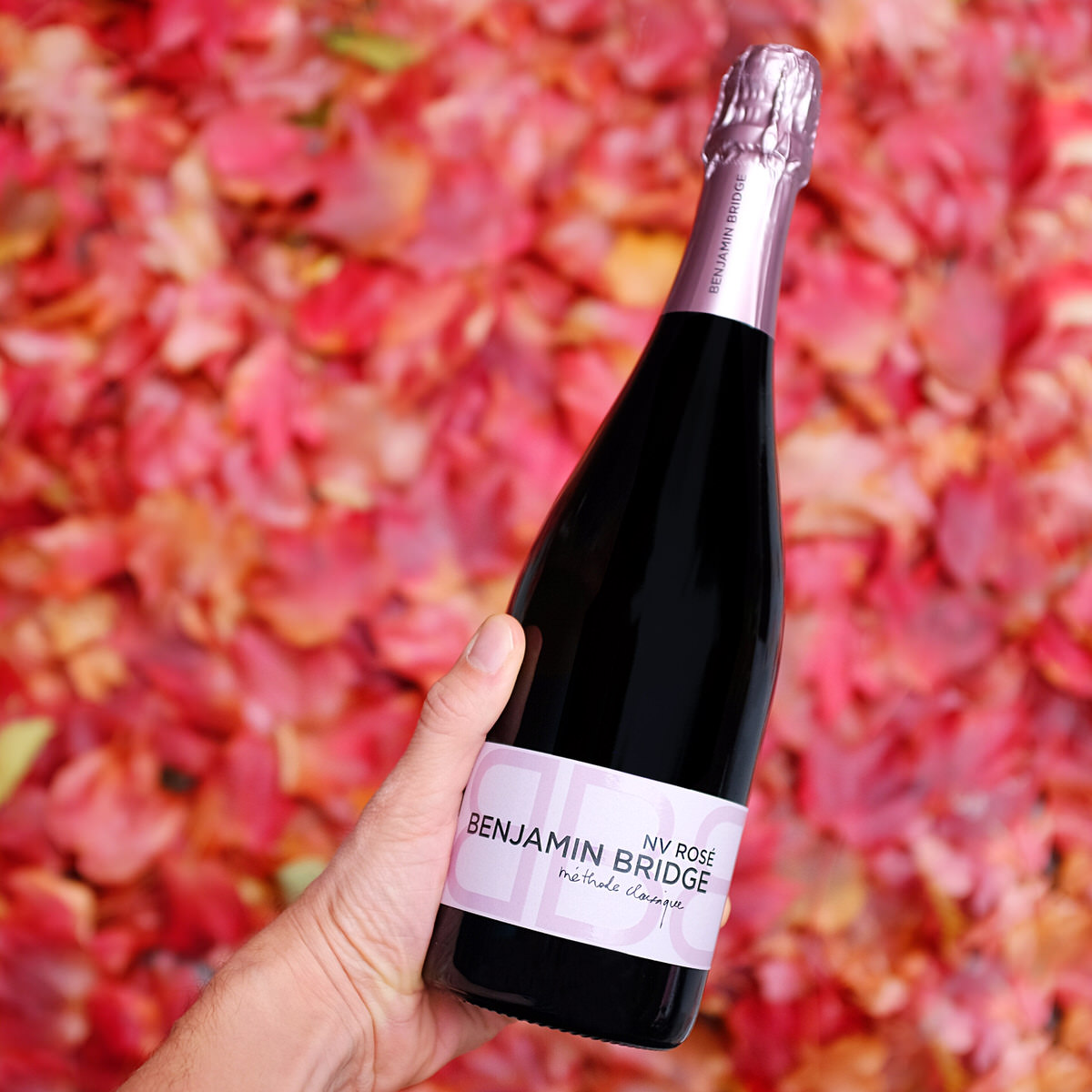 Benjamin Bridge NV Rosé – Review | Sparkling Winos